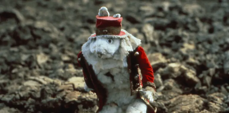 Bunny Movies for Adults – Film Threat