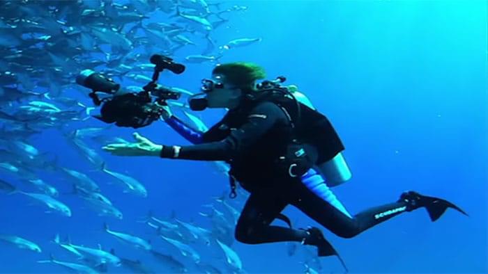 Mission Blue – Film Threat