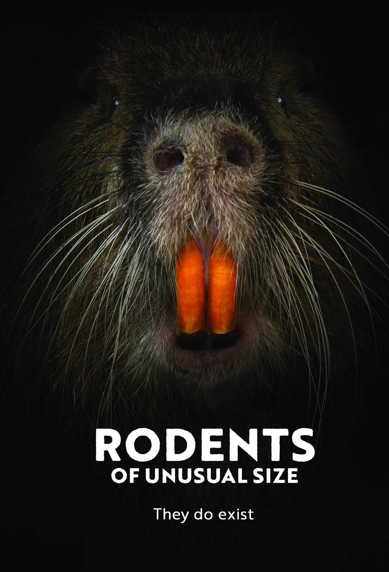 Rodents of Unusual Size Reviews Film Threat